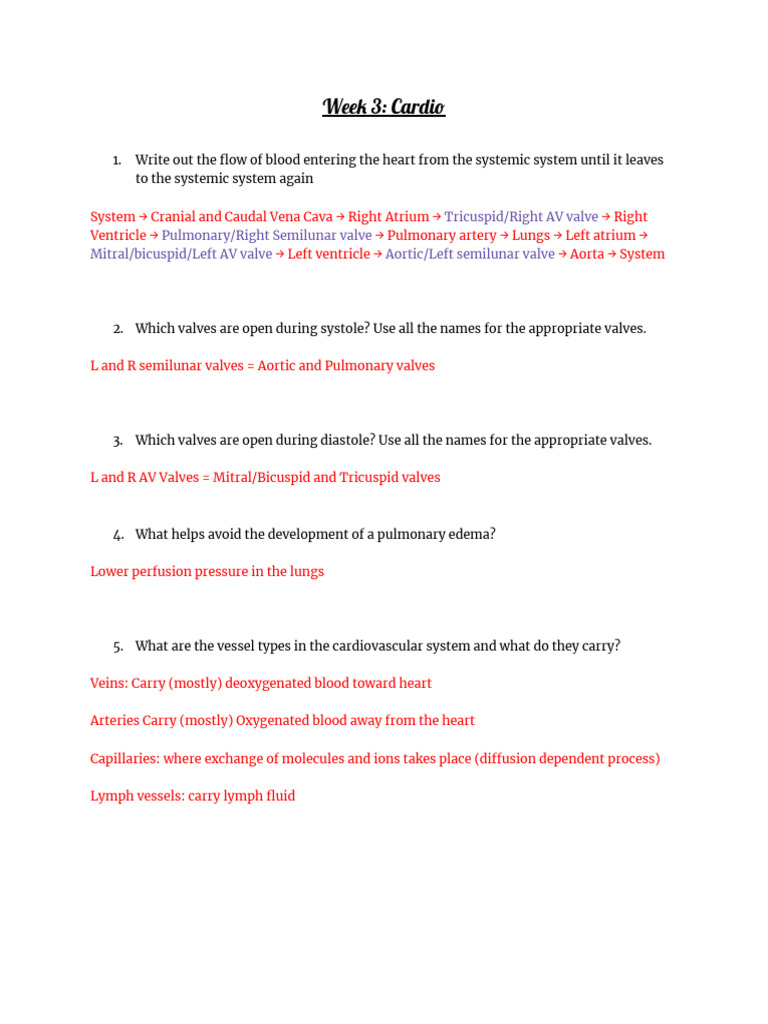 Worksheet Week 3 ANSWERS | PDF