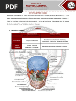 Forames do Crânio e suas Funções | PDF | Neuroanatomia | Anatomia humana