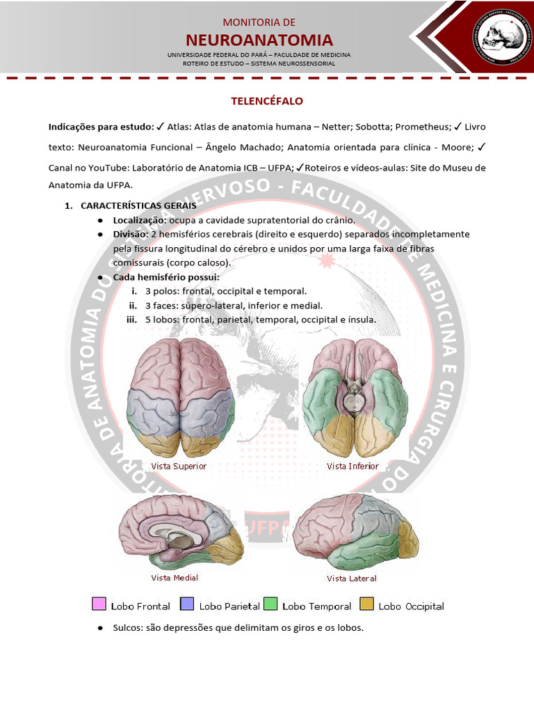 Roteiro Neuro 2 - Telencéfalo-2 | PDF | Hipotálamo | Telencéfalo