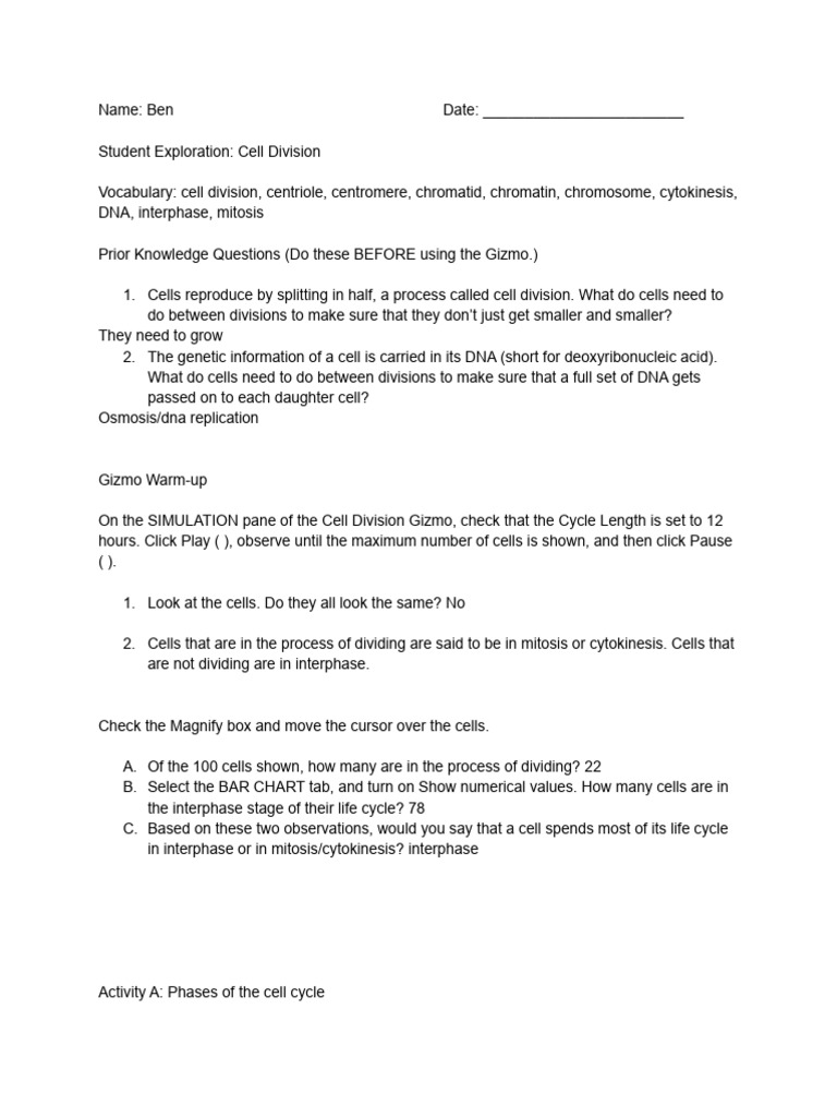 Cell Division Gizmo | PDF | Mitosis | Biochemistry