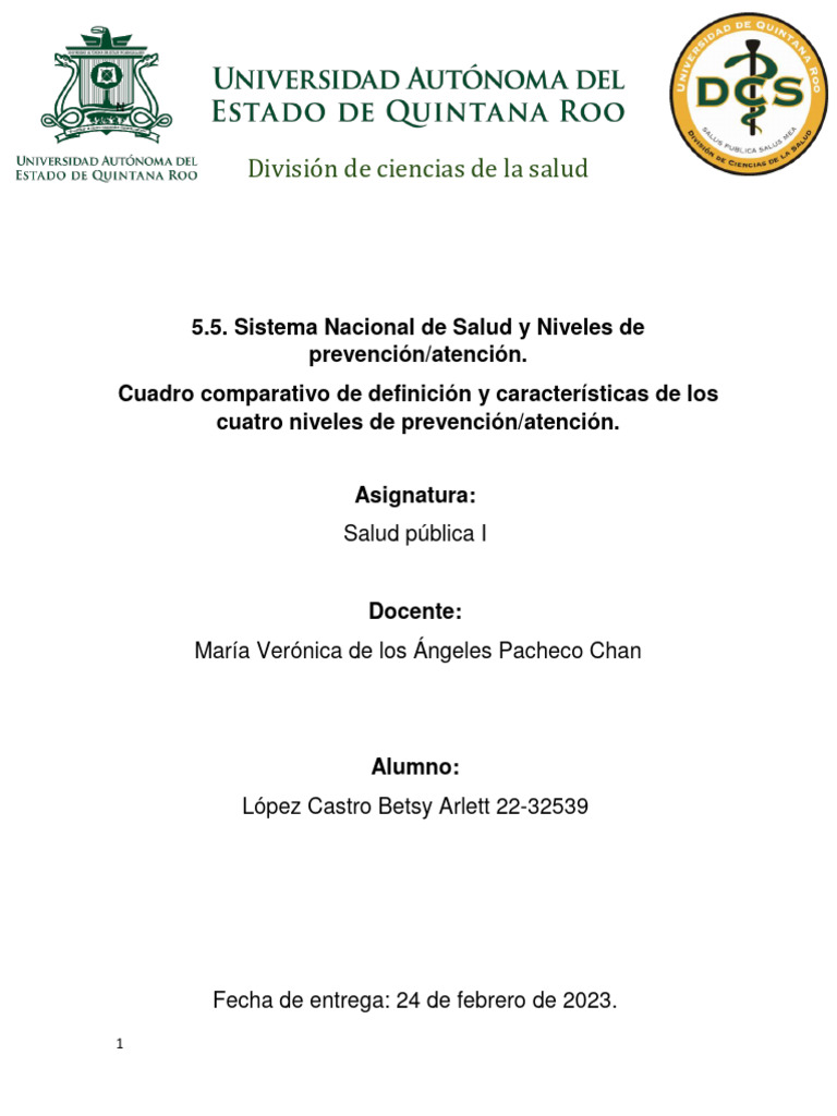 Cuadro Comparativo Niveles de Atención Prevención - Lopez Castro Betsy ...