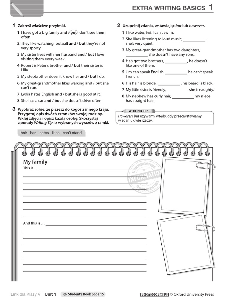 Link L5 U1 Writing Basics Ws | PDF