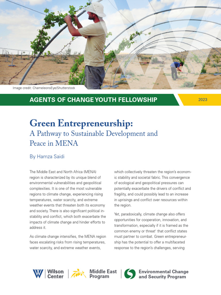 Green Entrepreneurship for MENA Stability | PDF | Entrepreneurship ...