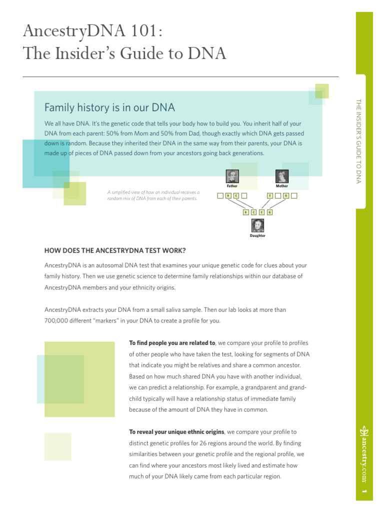 Ancestry Dna 101 Insiders Guide | PDF | Mitochondrial Dna | Kinship And ...