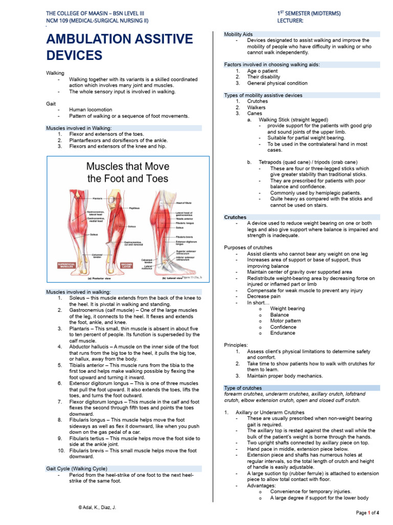 Lec Demo | PDF | Foot | Walking