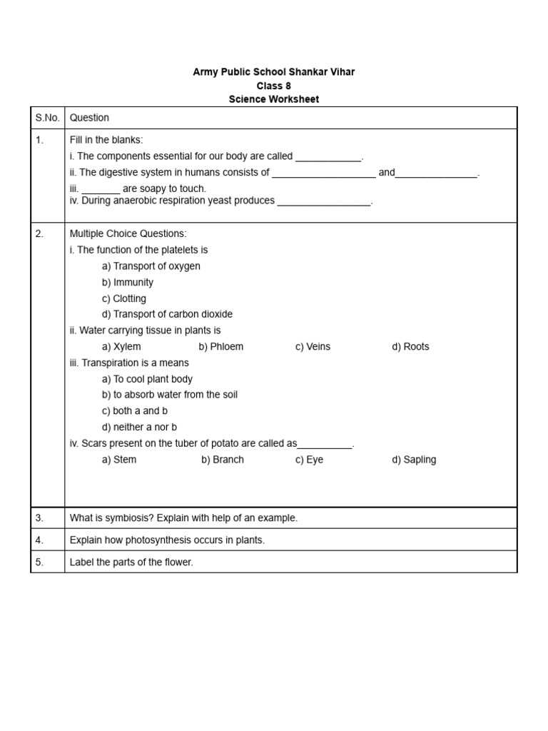 Class 8 Science Worksheet Overview | PDF | Science & Mathematics