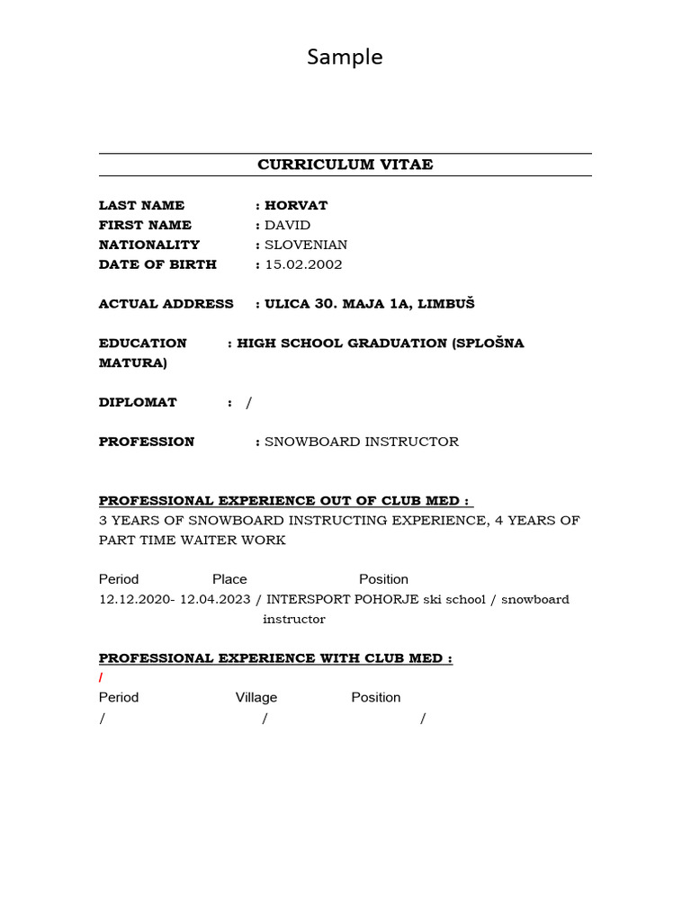 CV Template | PDF