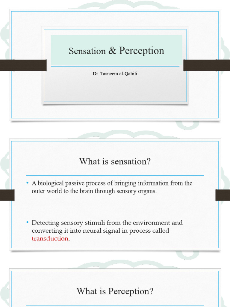 Sensation (١) | PDF | Senses | Perception
