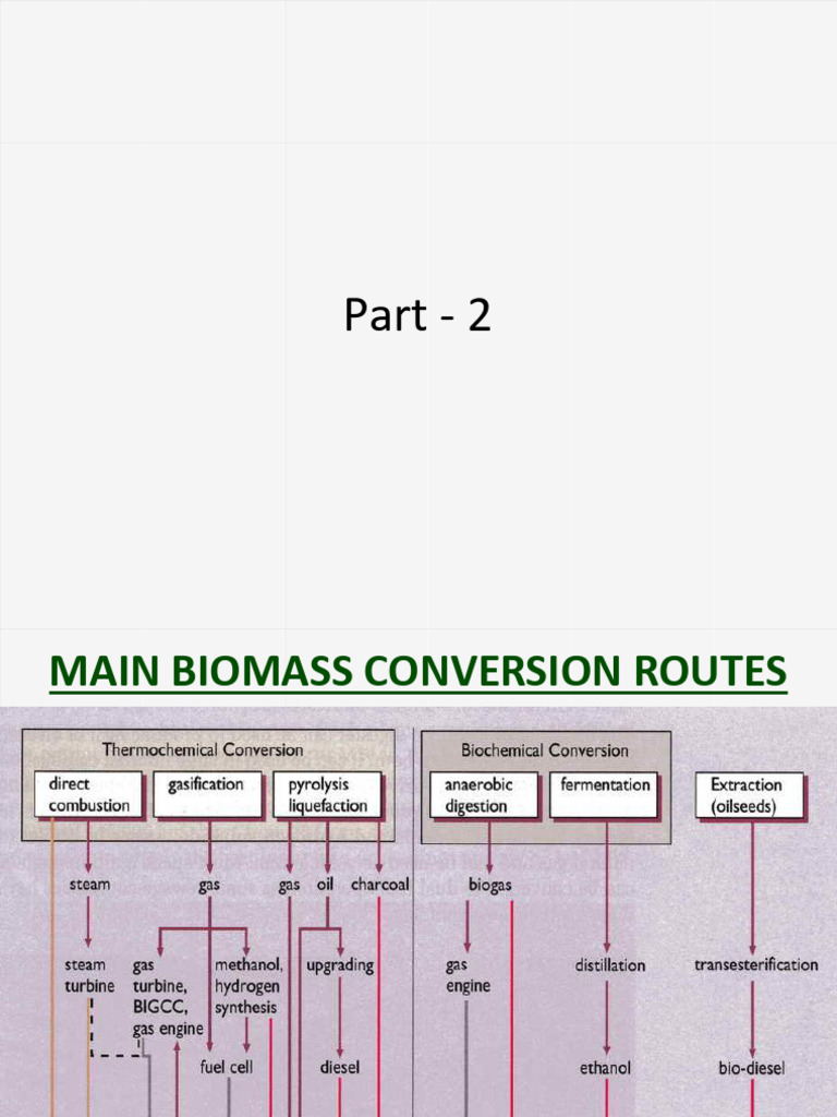 BIOENERGY Part2 | PDF