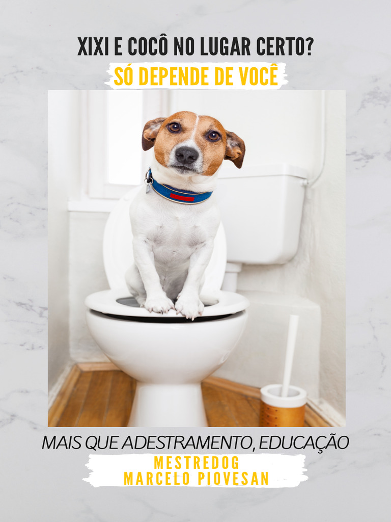 Xixi e Cocô No Lugar Certo, Fácil | PDF