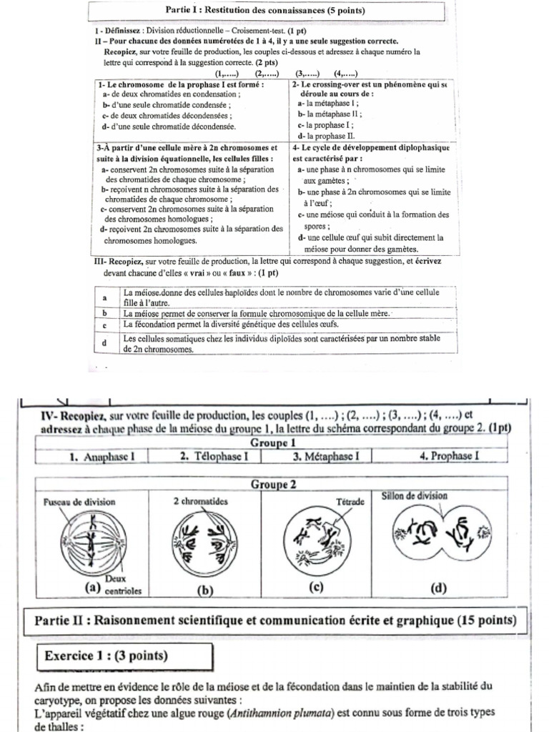 2bac Devoir SVT | PDF