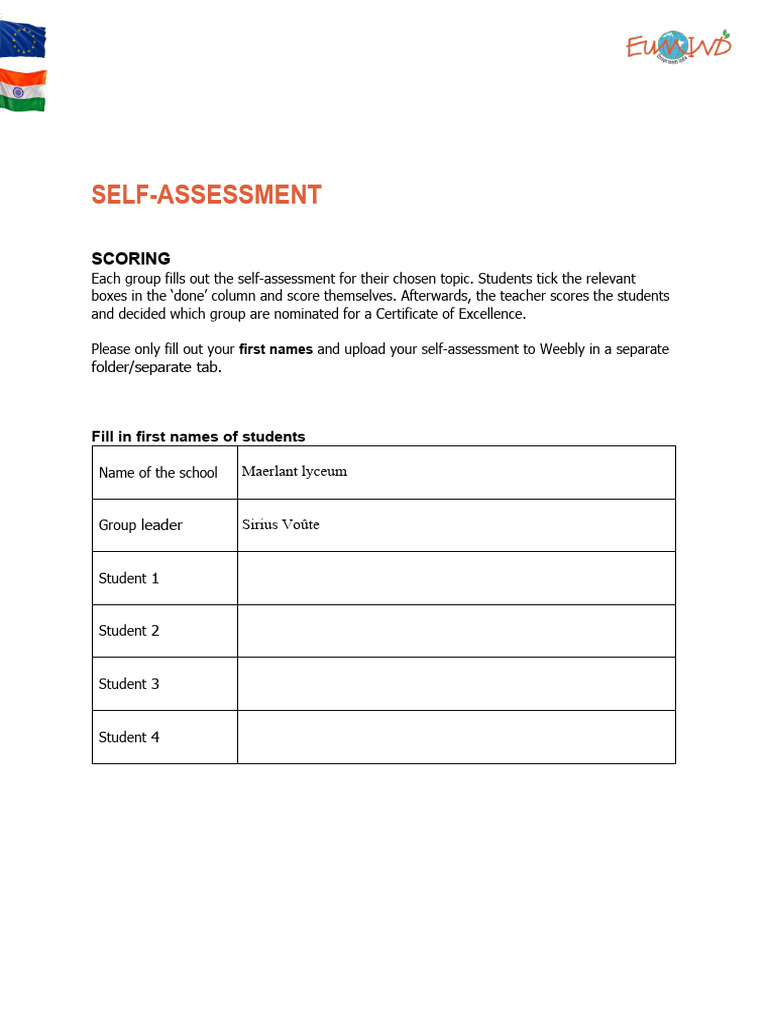 Self-Assessment Scoring Guide for Projects | PDF