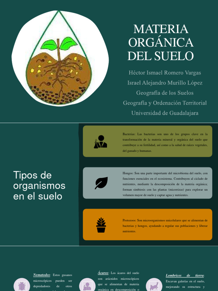 Importancia de la Materia Orgánica | PDF | Suelo | Descomposición