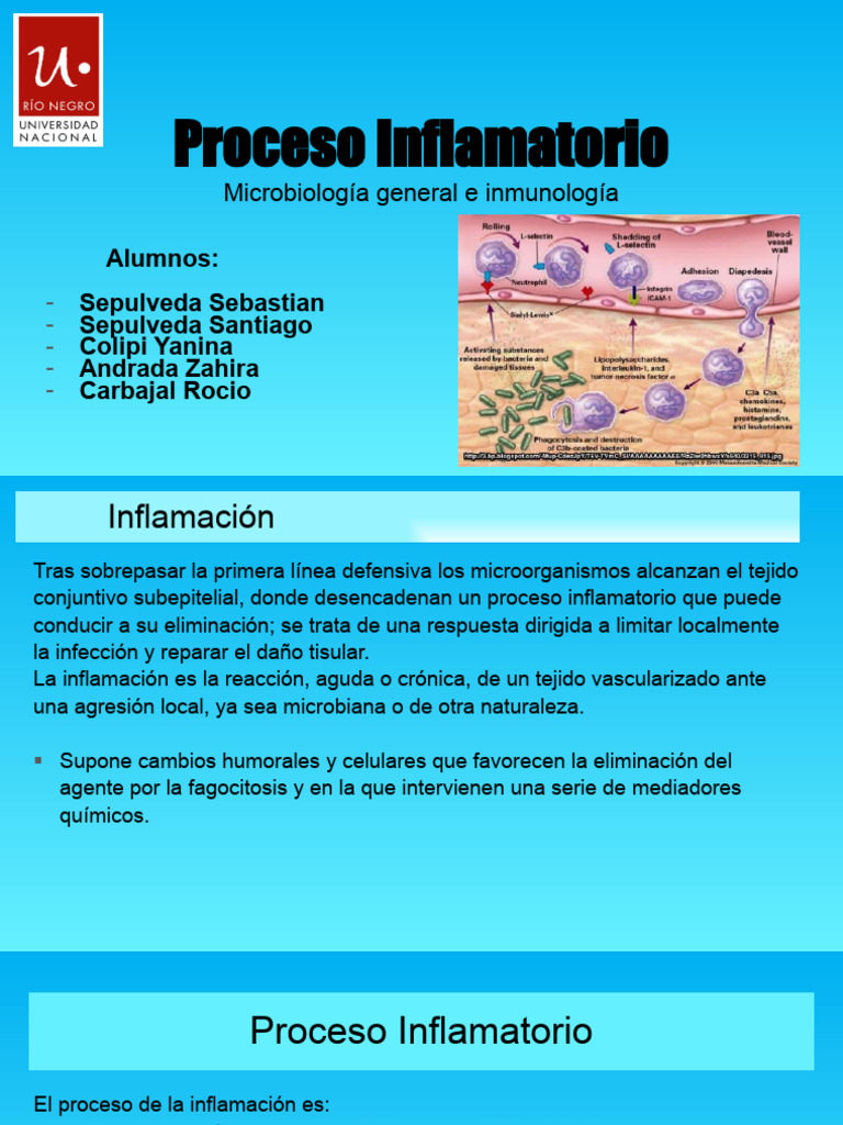Proceso Inflamatorio - Grupo Virus | PDF | Inflamación | Sistema ...
