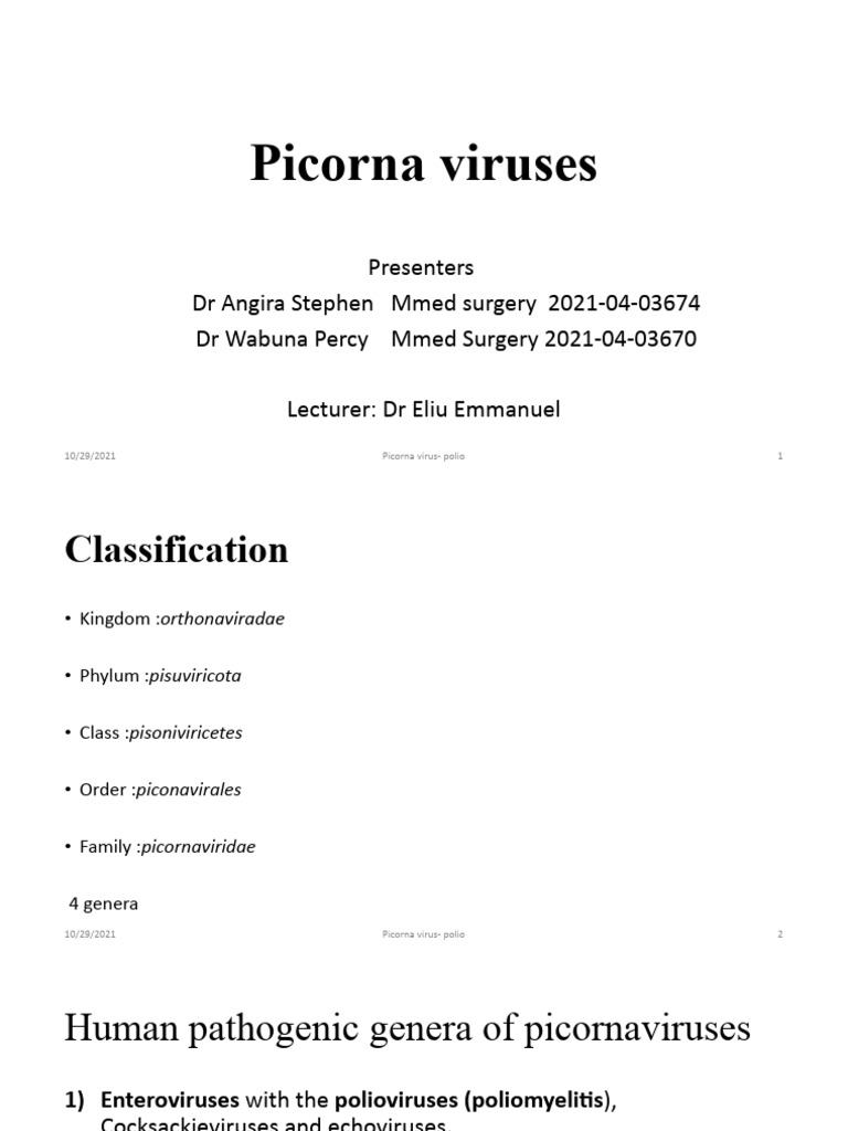 Picona Virus - POLIO Presentation | PDF | Virus | Tree Of Life (Biology)