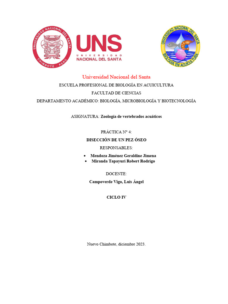Informe Peces Óseos Semana 4 | PDF | Pescado | Branquia