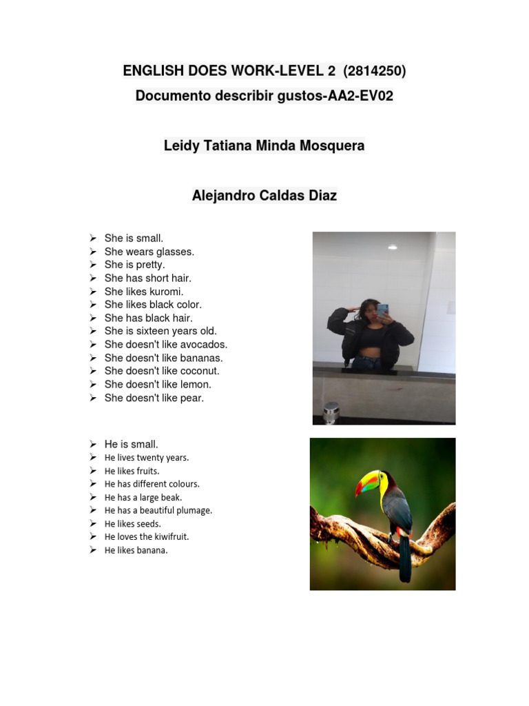 Documento Describir gustos-AA2-EV02 | PDF