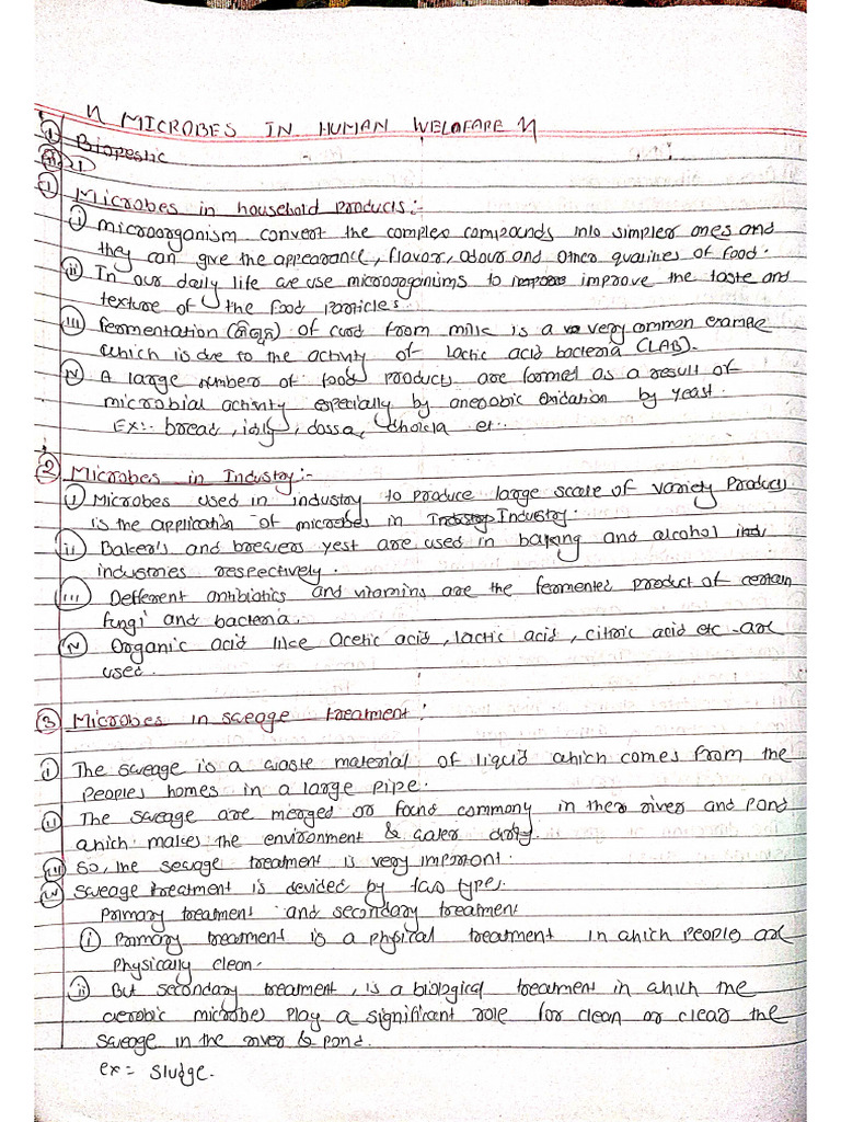 Botany CHP - 4 | PDF