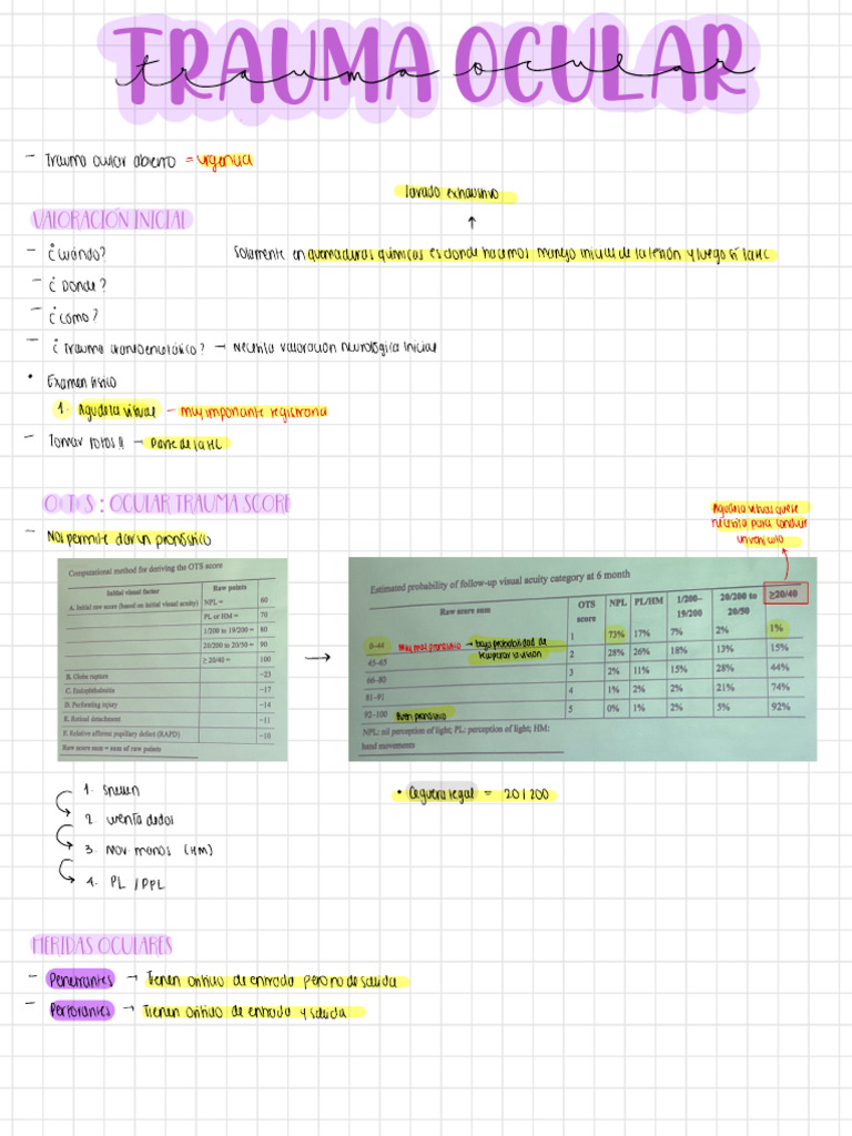 3 - Trauma Ocular | PDF | Ojo | Lesión