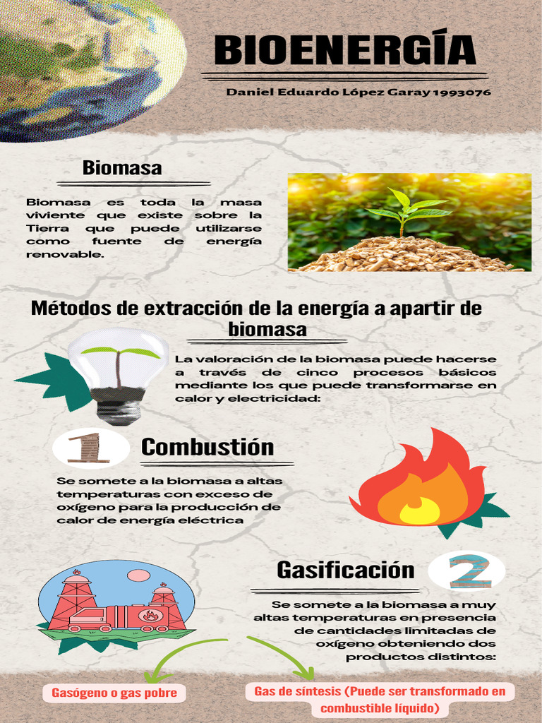 Infografía Bioenergía | Descargar gratis PDF | Biomasa | Digestión anaeróbica