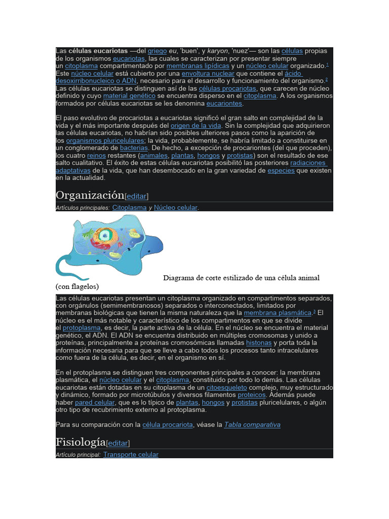 Tipos de células eucariotas | PDF | Eucariotas | Biología Celular)