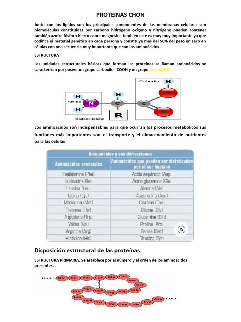 Proteinas Chon | Descargar gratis PDF | Proteínas | Biología Celular)