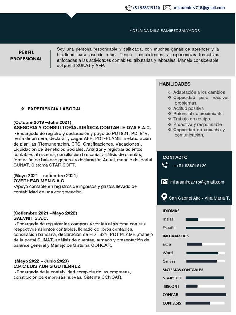 CV Mila Ramirez Salvador | PDF | Contabilidad | Industrias de servicio