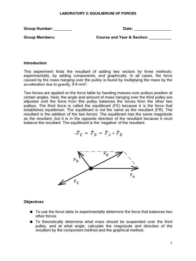 LABORATORY Equilibrium | PDF | Force | Norm (Mathematics)