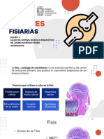 Plan Reflejo Galant | PDF