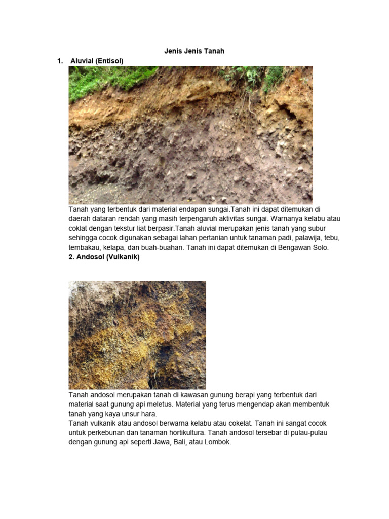 Jenis Jenis Tanah | PDF | Griya & Taman