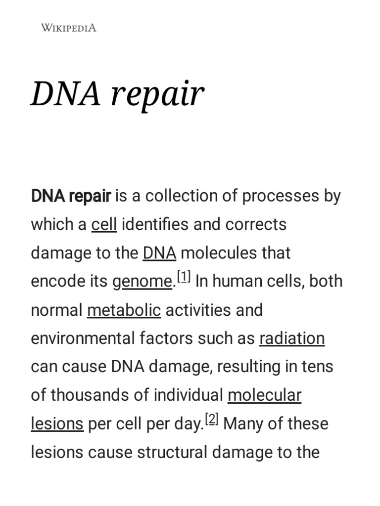 DNA Repair Mechanisms and Importance | PDF | Dna Repair | Dna