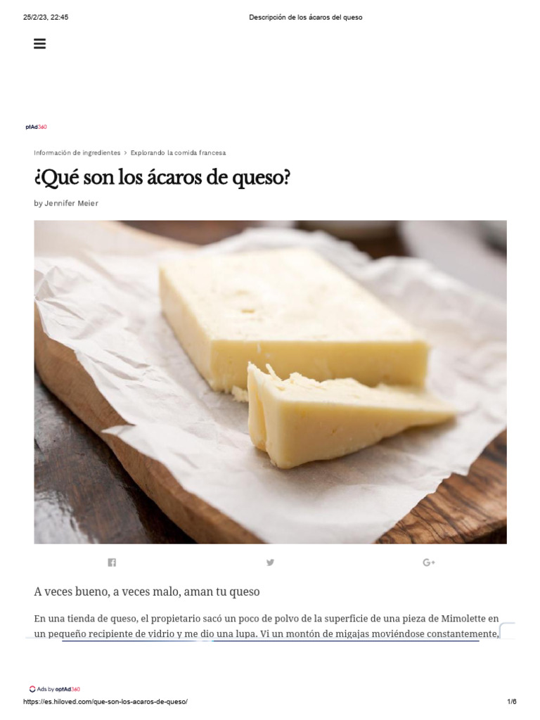 Descripción de Los Ácaros Del Queso | PDF | Queso | Alimentos