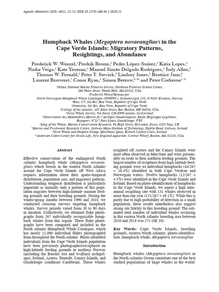 Wenzel Et Al. 2020 Humpback Whales in The Cape Verde Islands Migratory ...