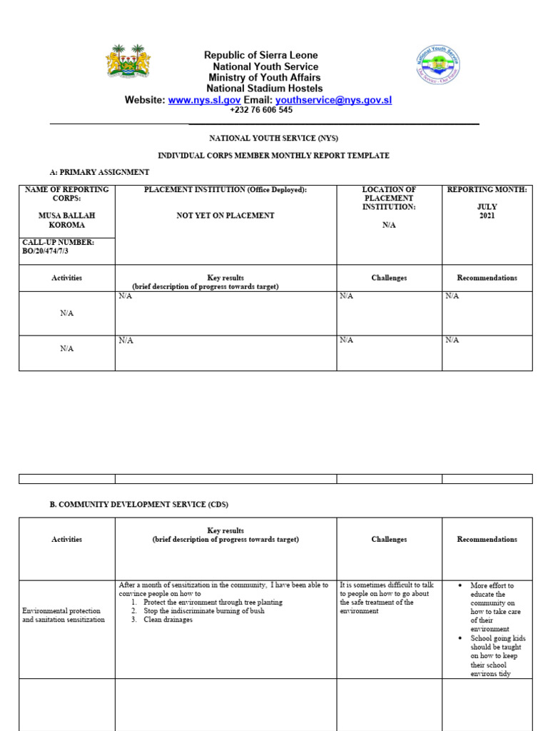 Primary Assignment and CDS Report Template 2020 - for JULY | PDF ...