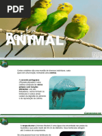 Vombate: Cocô em Forma de Cubo | PDF