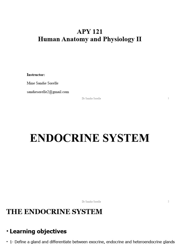 Endocrine System For MLS Year 1 | PDF | Adrenal Gland | Luteinizing Hormone