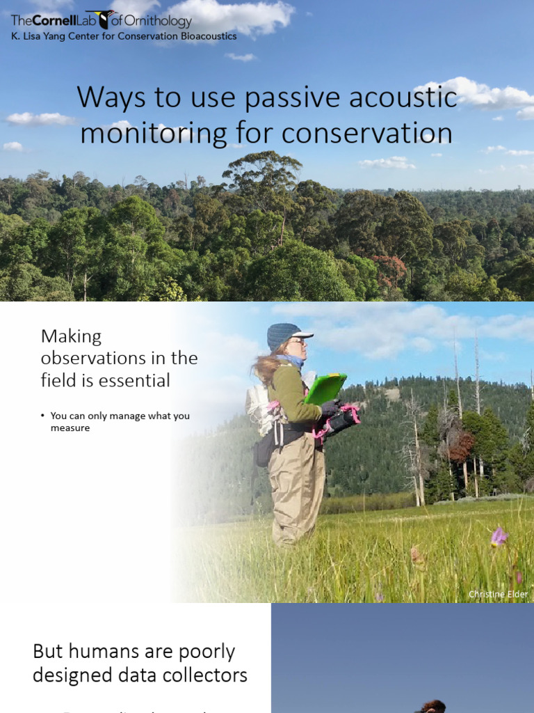 1 Introduction | PDF | Disturbance (Ecology) | Ecosystem