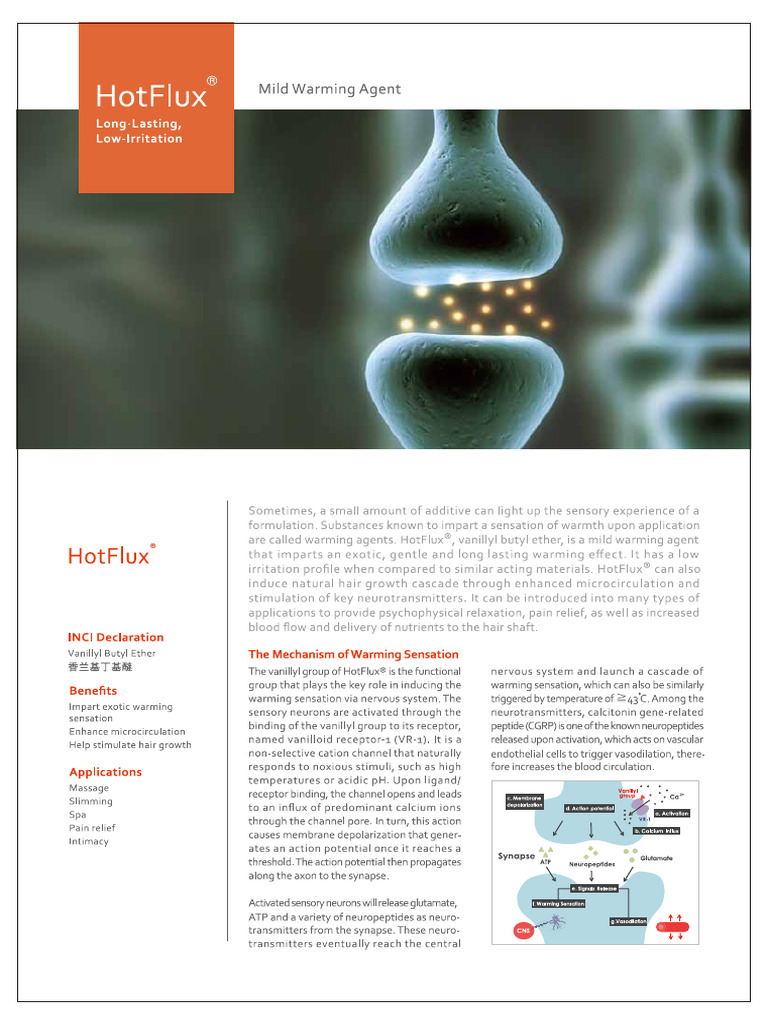 HotFlux - Product Brochure | PDF