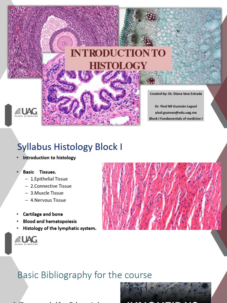 Introduction To Histology 2024-01 | Download Free PDF | Staining ...