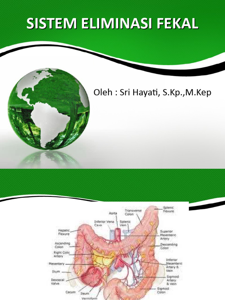 Eliminasi Fekal | PDF | Kesehatan Holistik | Sains & Matematika