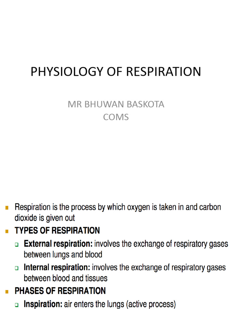 Respiratory System Pdf Hemoglobin Lung
