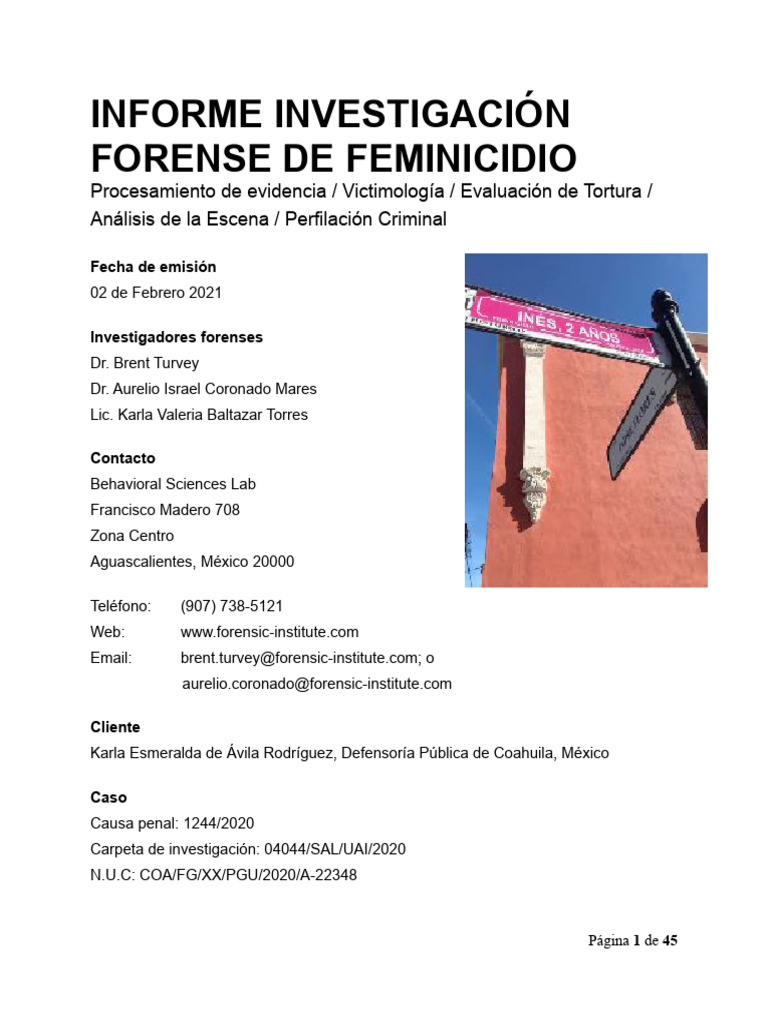 Informe Feminicidio Inés & Liliana | PDF | La violencia contra las mujeres | Violencia doméstica