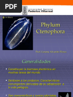 Ctenóforos | PDF | Anatomía | Zoología