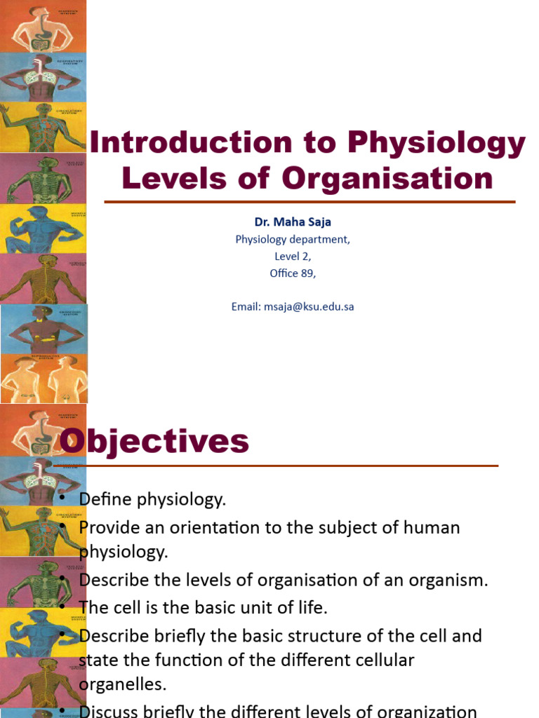 1-Ntroduction To Physiology-Levels of Organizatio | PDF | Tissue ...