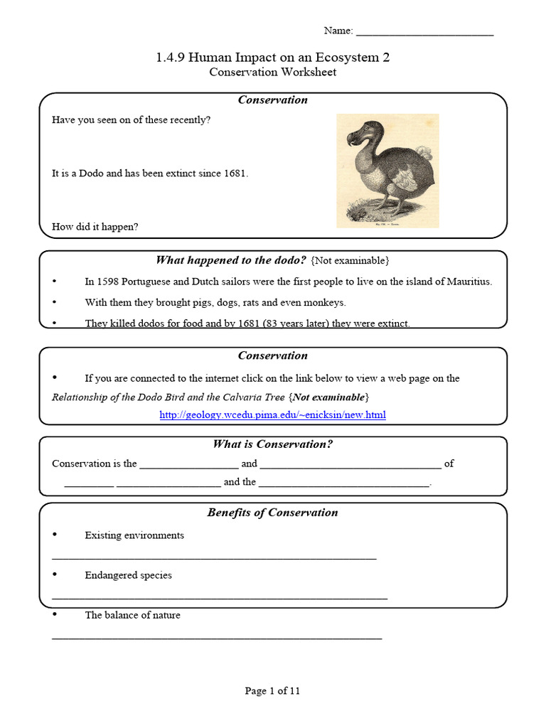 Dodo Bird and Calvaria Tree Conservation | PDF | Agriculture | Crop ...