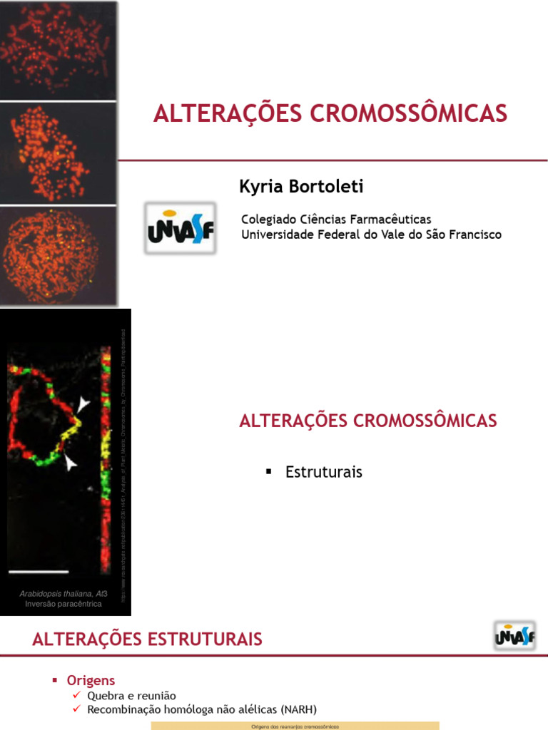 Alteracoes Cromossomicas Estruturais Semestre2023 1 Pdf