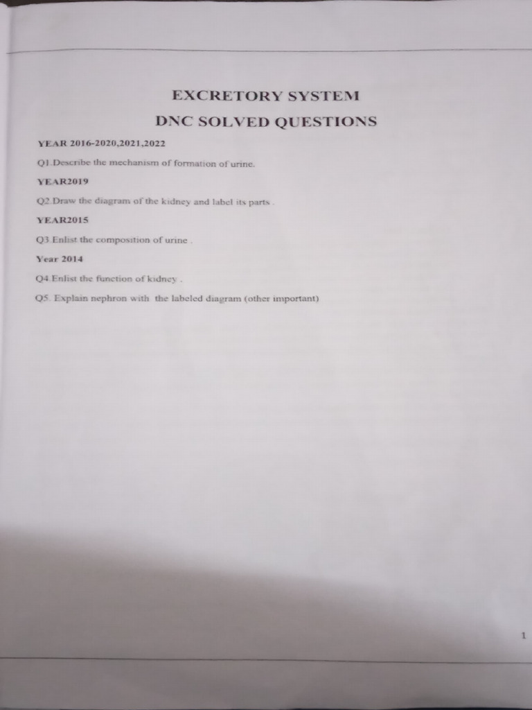 Anatomy Excretory System Notes | PDF | Kidney | Medical Specialties