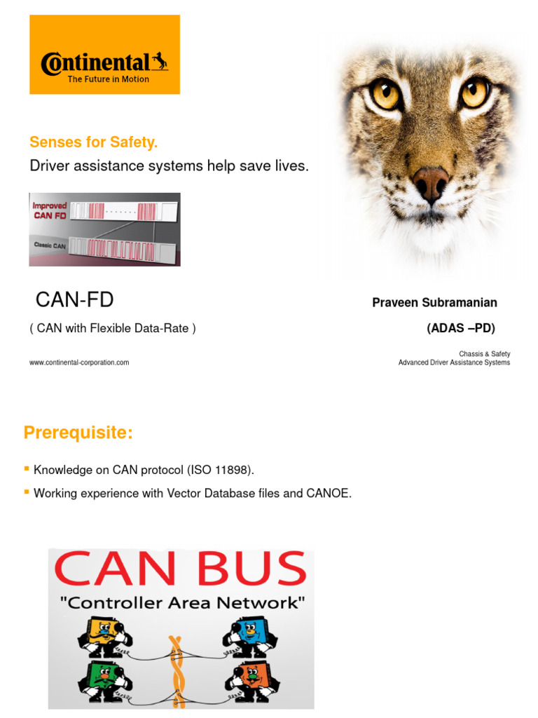 Can FD | PDF | Electrical Engineering | Computer Data