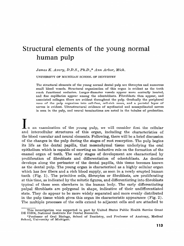 Structural | PDF | Dentin | Endoplasmic Reticulum