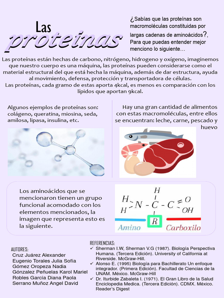 Info de Bio o No Sé | PDF